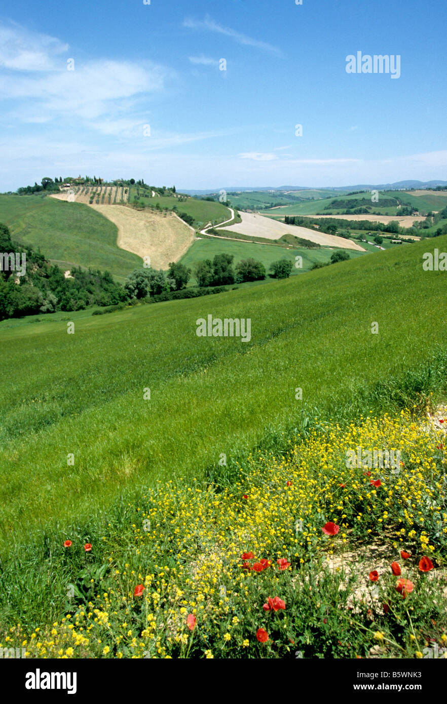 Crete Siennese country Siena Tuscany Italy Stock Photo - Alamy