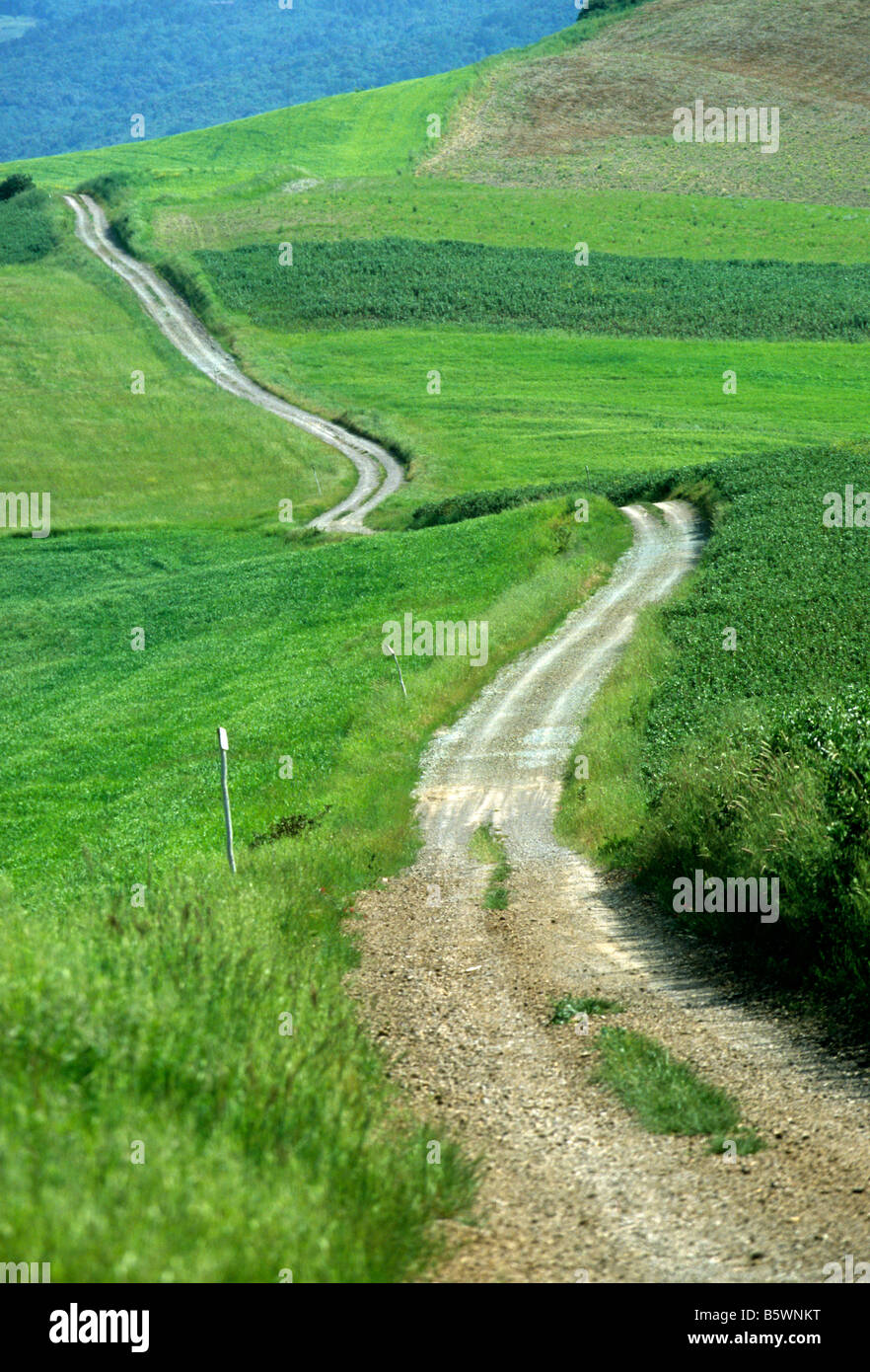 Crete Siennese country Siena Tuscany Italy Stock Photo - Alamy