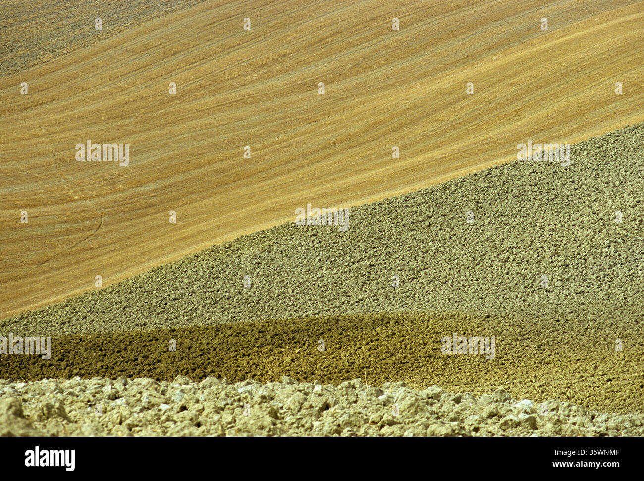 Crete Siennese country Siena Tuscany Italy Stock Photo - Alamy