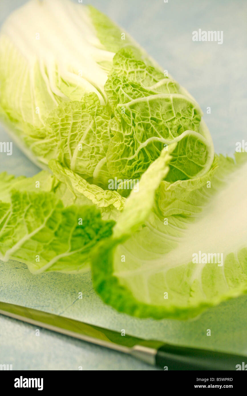 Chinese cabbage Bok choy Brassica pekinensis Stock Photo - Alamy