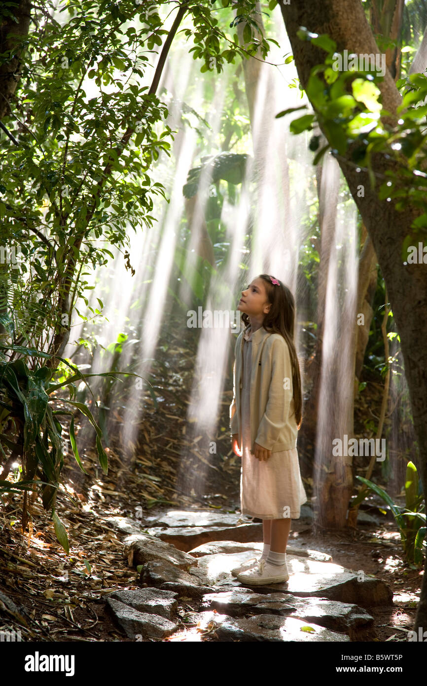 it looks like a wild rain forest but we are in the gardens of the ...