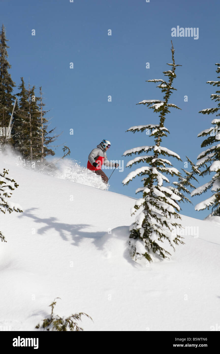 skiing backcountry powder in Whistler Stock Photo - Alamy