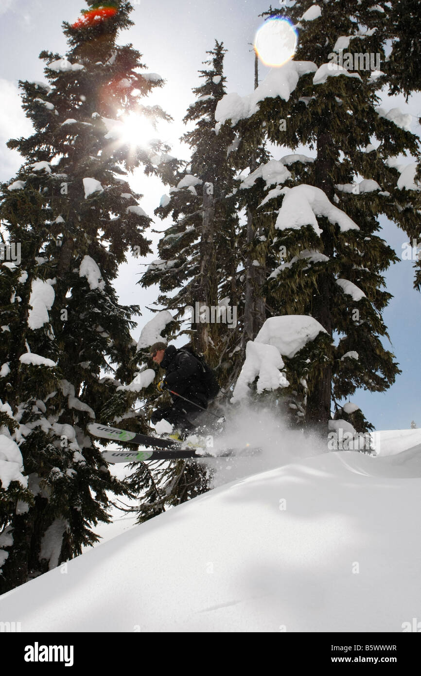 skiing backcountry powder in Whistler Stock Photo - Alamy