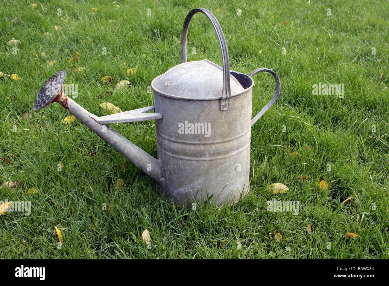Rustic watering can Stock Photo - Alamy
