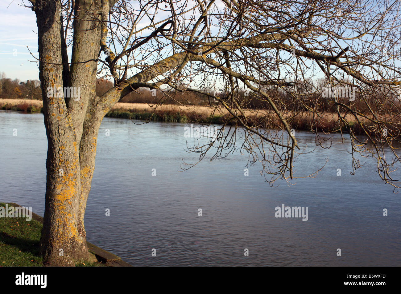 A view of the Thames Stock Photo - Alamy