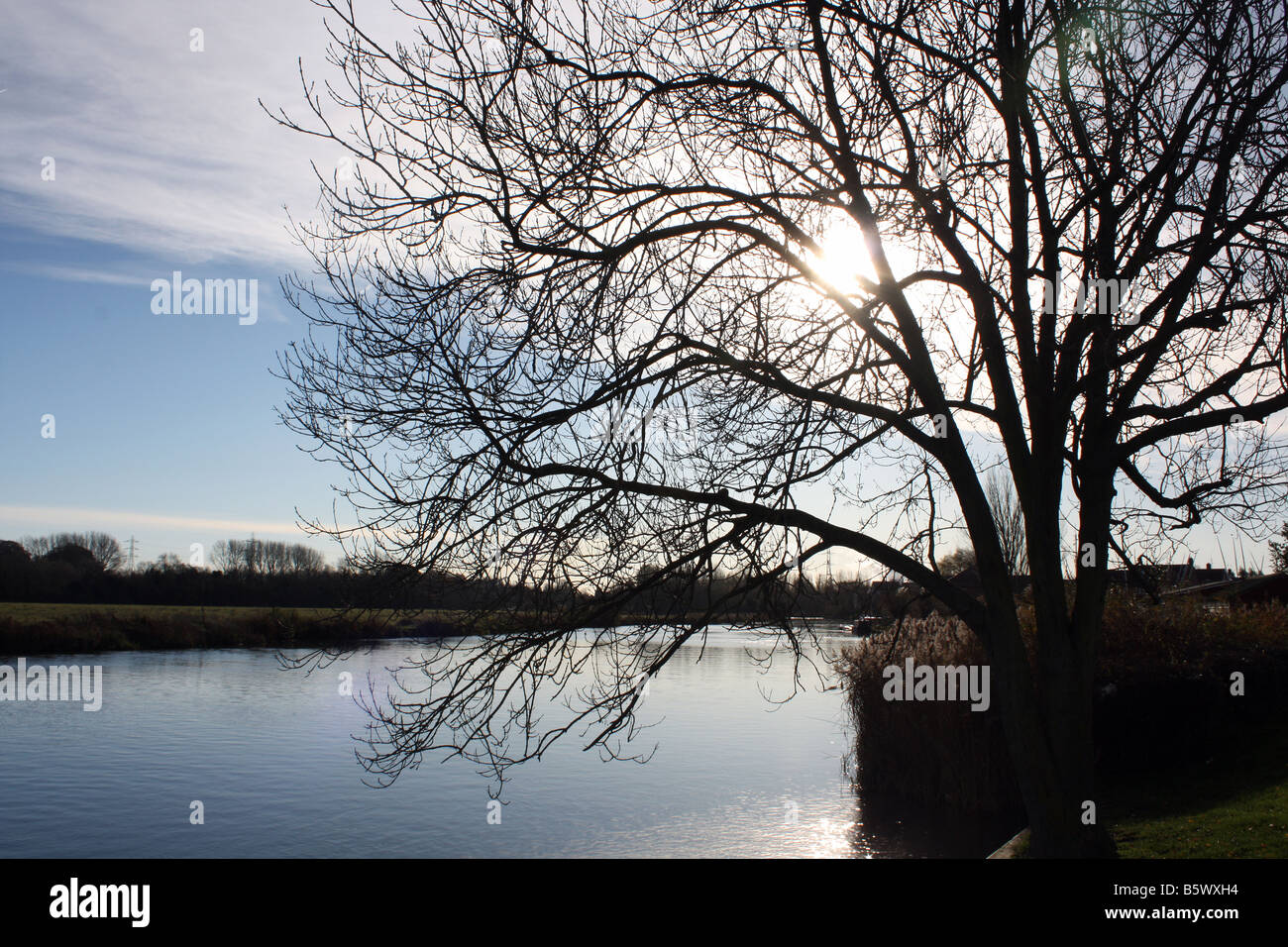 The Thames in autumn Stock Photo - Alamy
