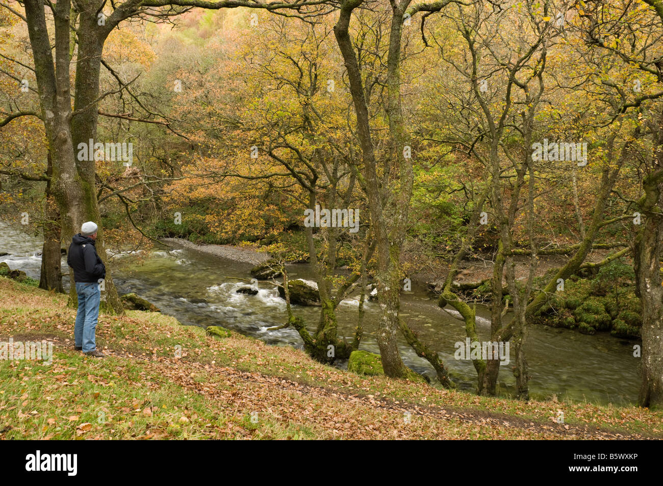 Wye valley walking hi-res stock photography and images - Alamy