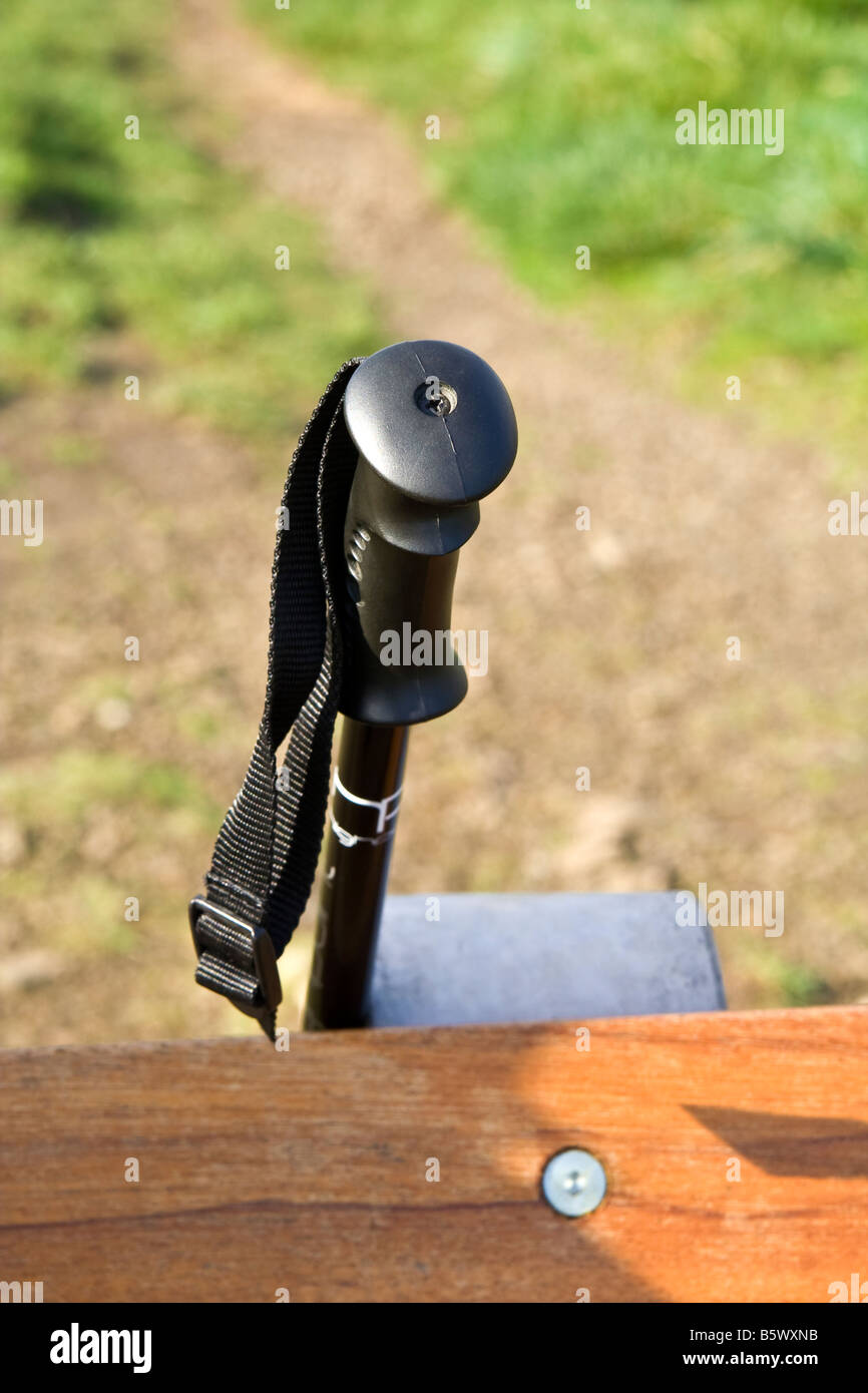 A single walking stick leaning against a bench, UK Stock Photo - Alamy