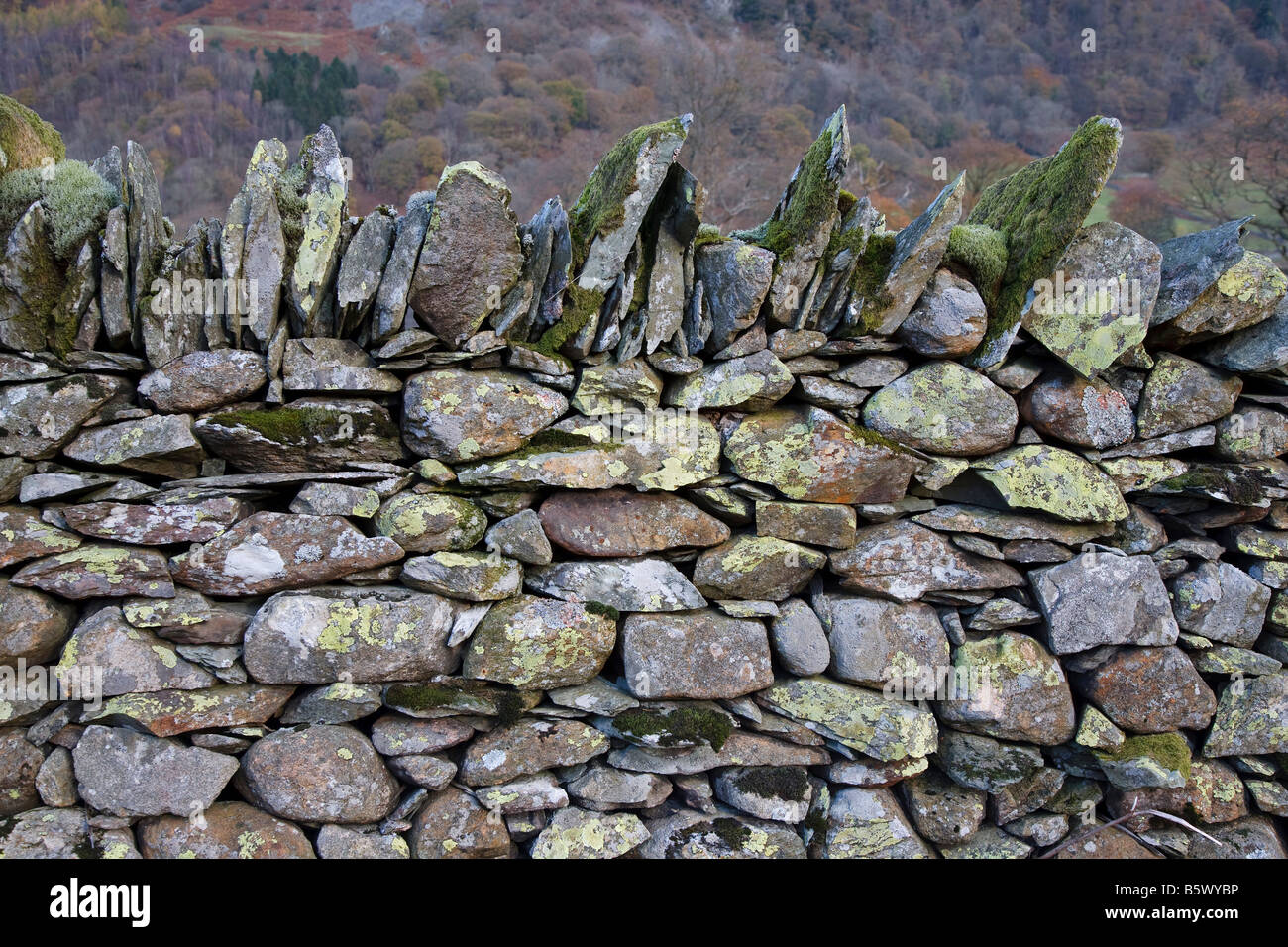 One of the many "Dry Stone Walls" in the "Lake District National Park ...