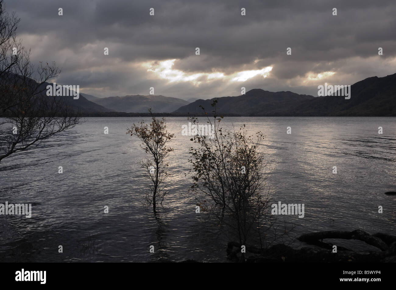 Killarney island hi-res stock photography and images - Alamy