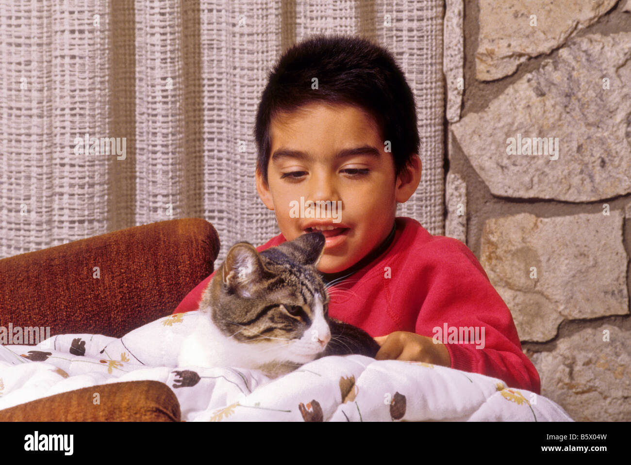 Hispanic boy and cat hi-res stock photography and images - Alamy