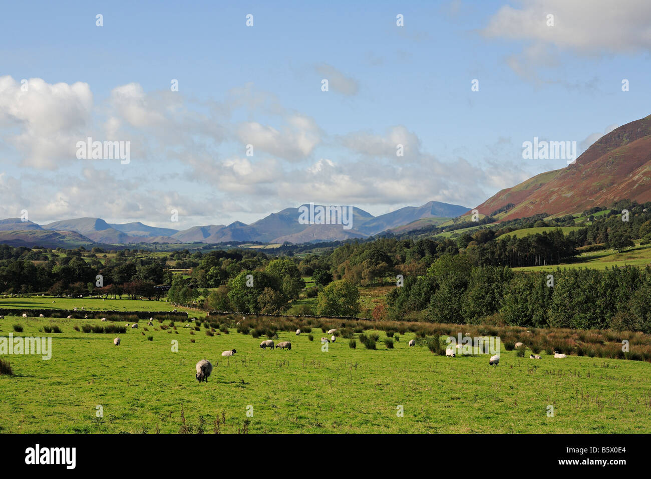 British mountain uk hi-res stock photography and images - Alamy
