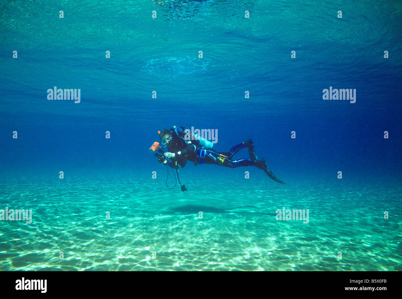 Lifestyle, Sport, Scuba diving, Diver, Egypt, Red Sea Stock Photo - Alamy