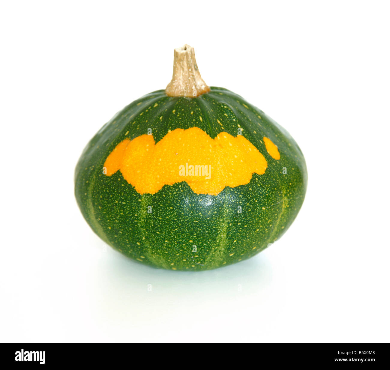 Green coloured pumpkin on isolated white background Stock Photo - Alamy