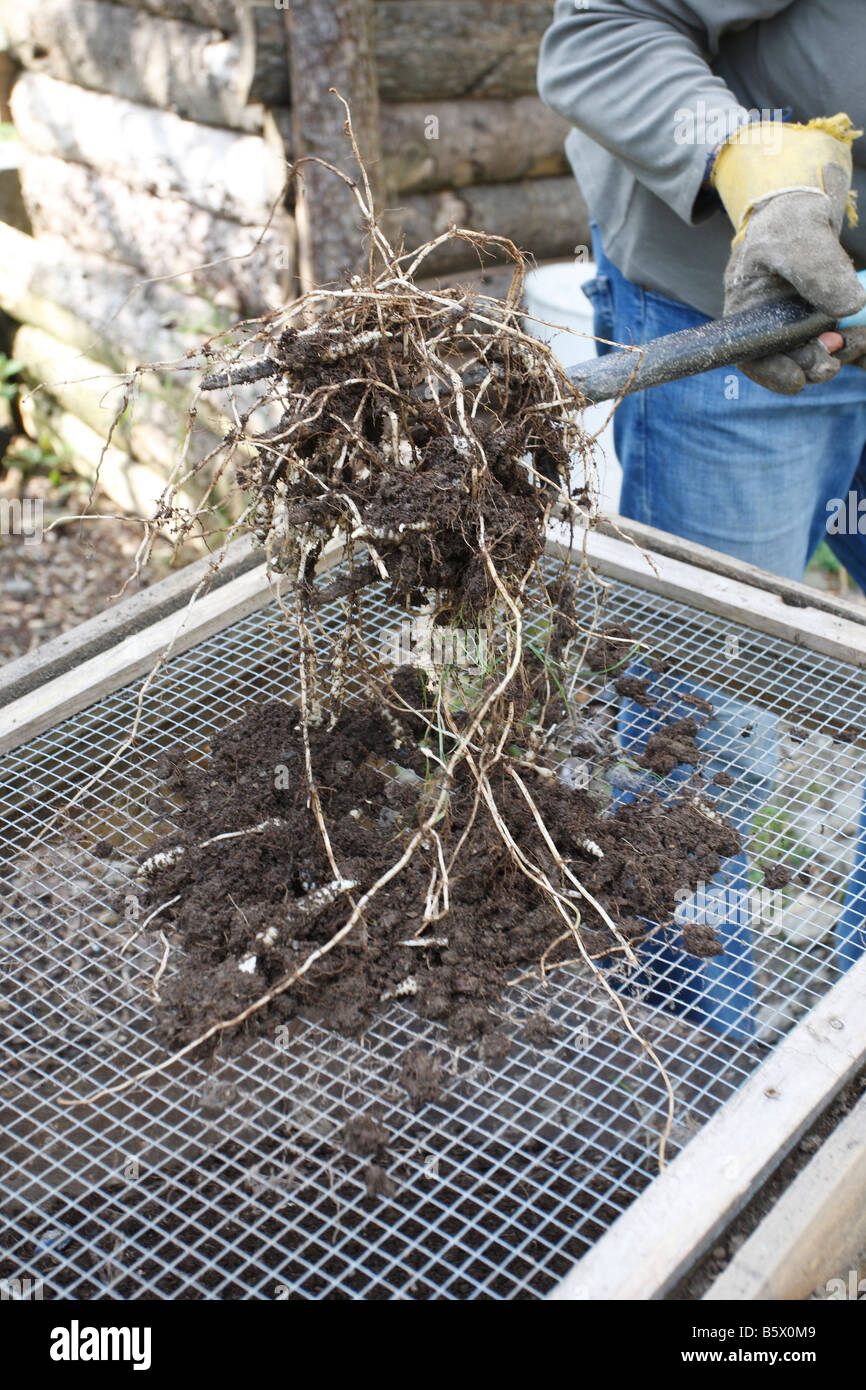 Soil sieve hi-res stock photography and images - Alamy