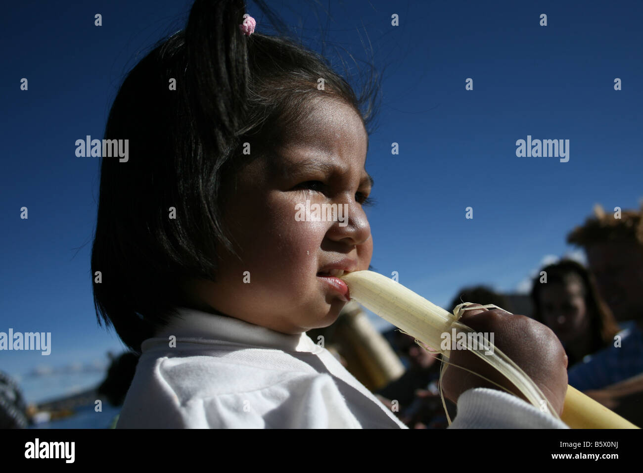 Peruvian child eating heartily totora on the Uros Island Stock Photo ...