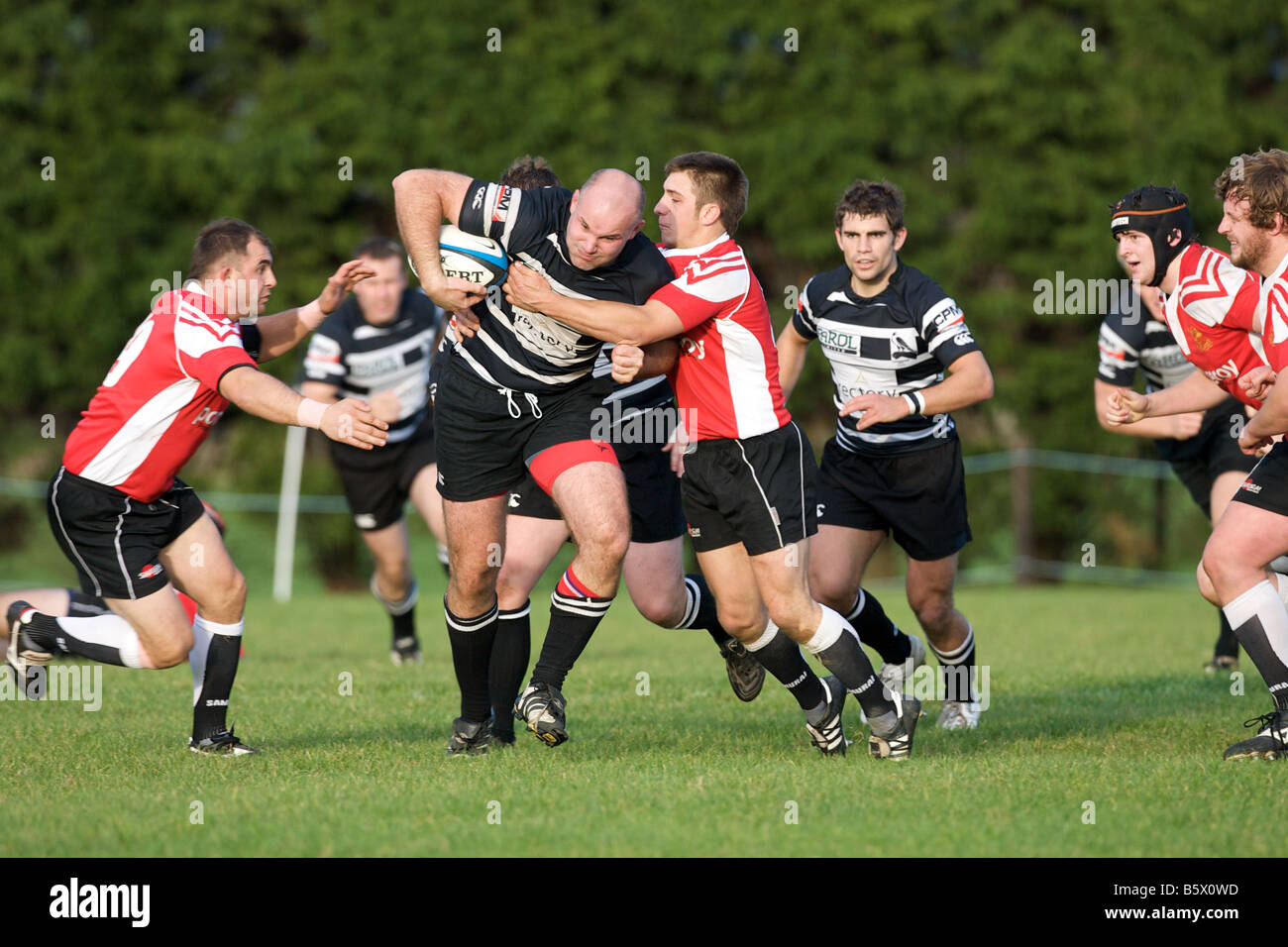 A game of rugby Stock Photo - Alamy
