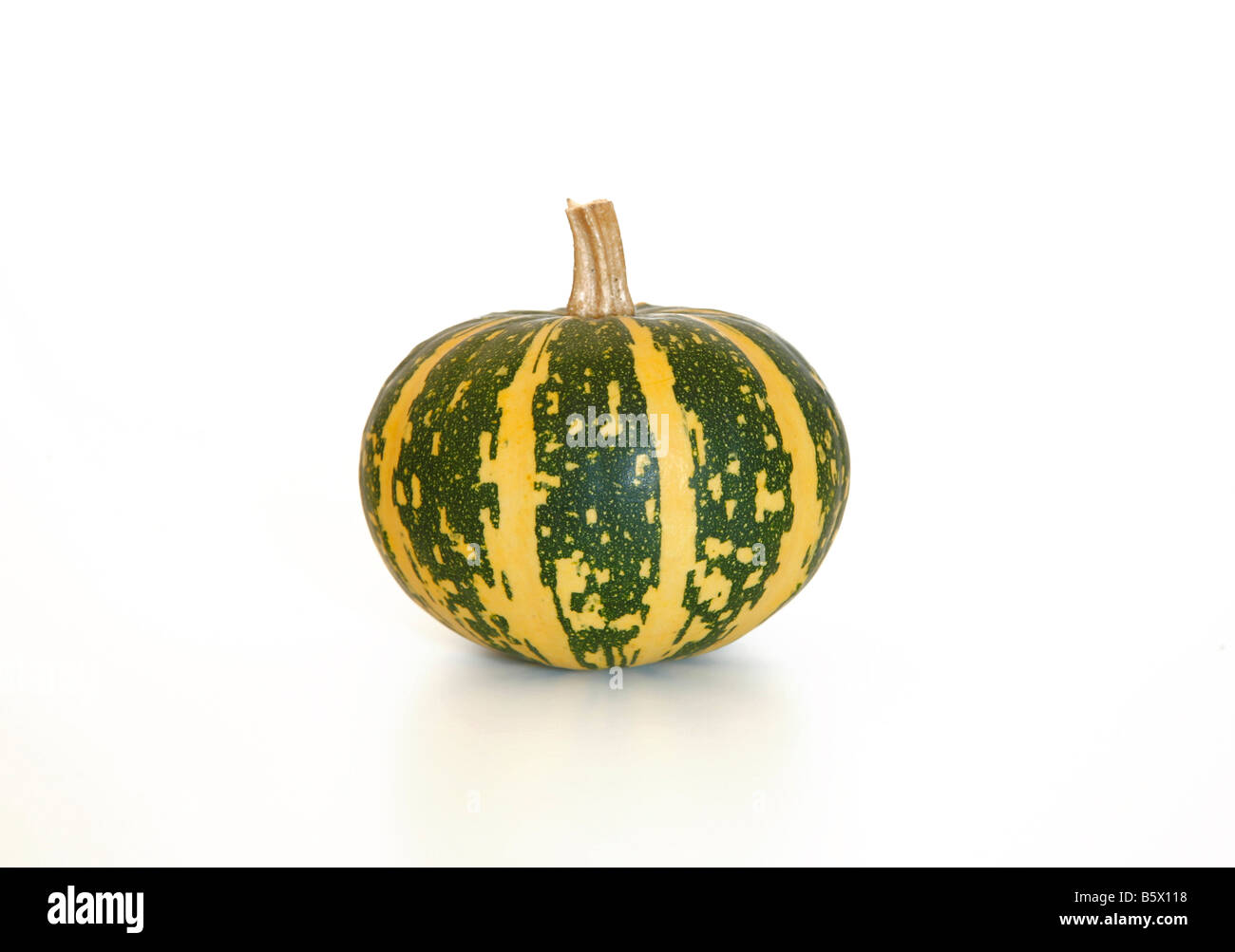 Green striped coloured pumpkin on isolated white background Stock Photo ...