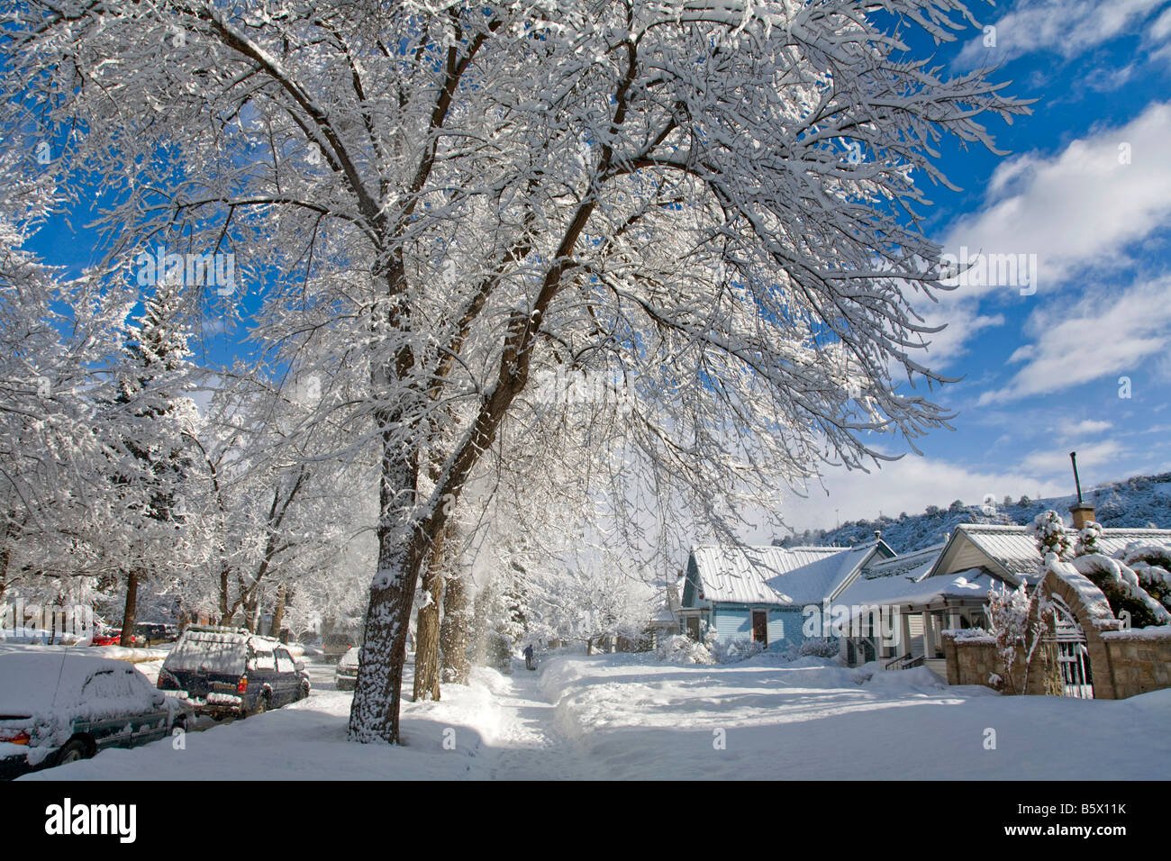 A snowy morning in Durango Colorado Stock Photo - Alamy