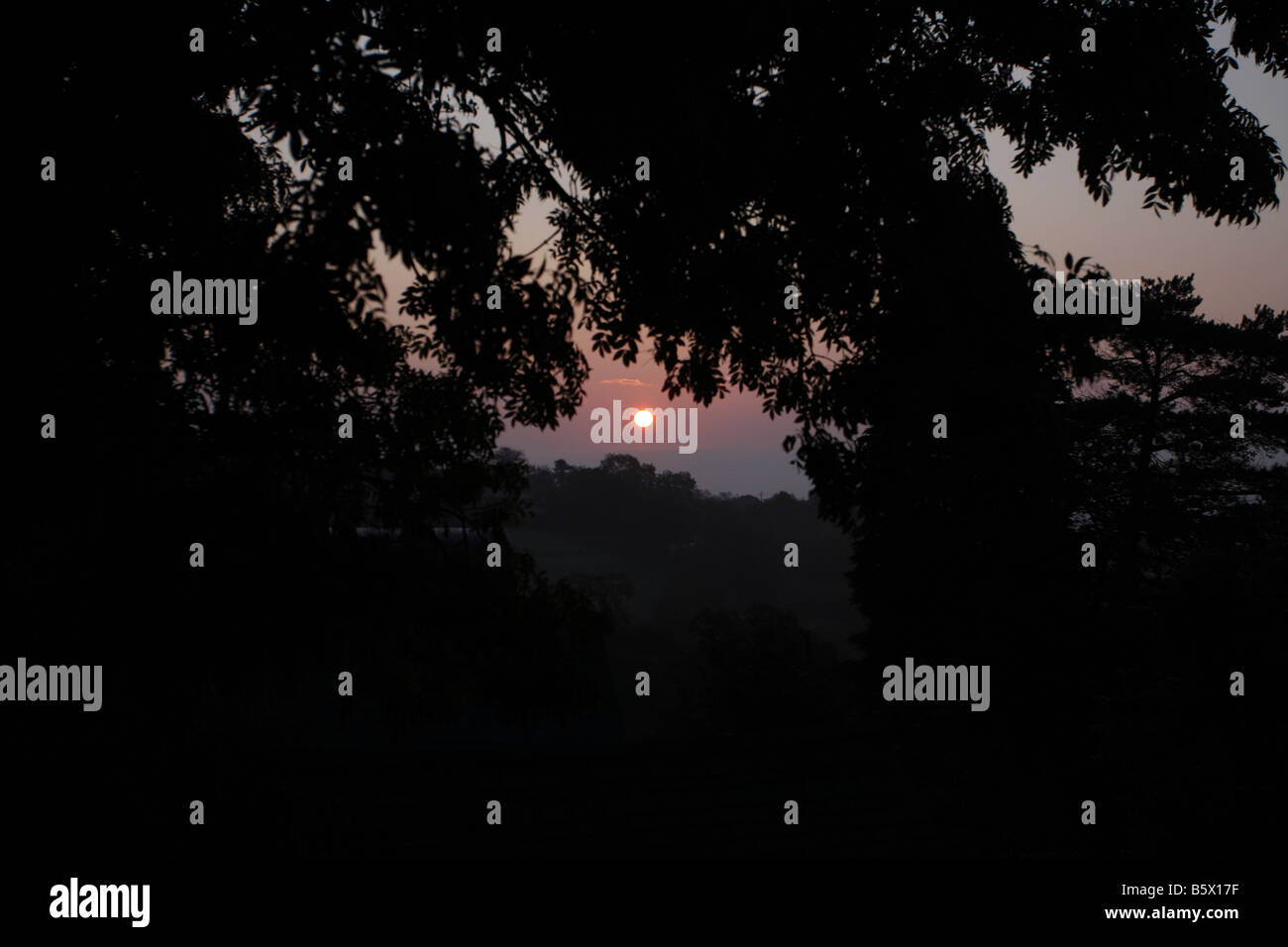 Sunrise with trees hi-res stock photography and images - Alamy