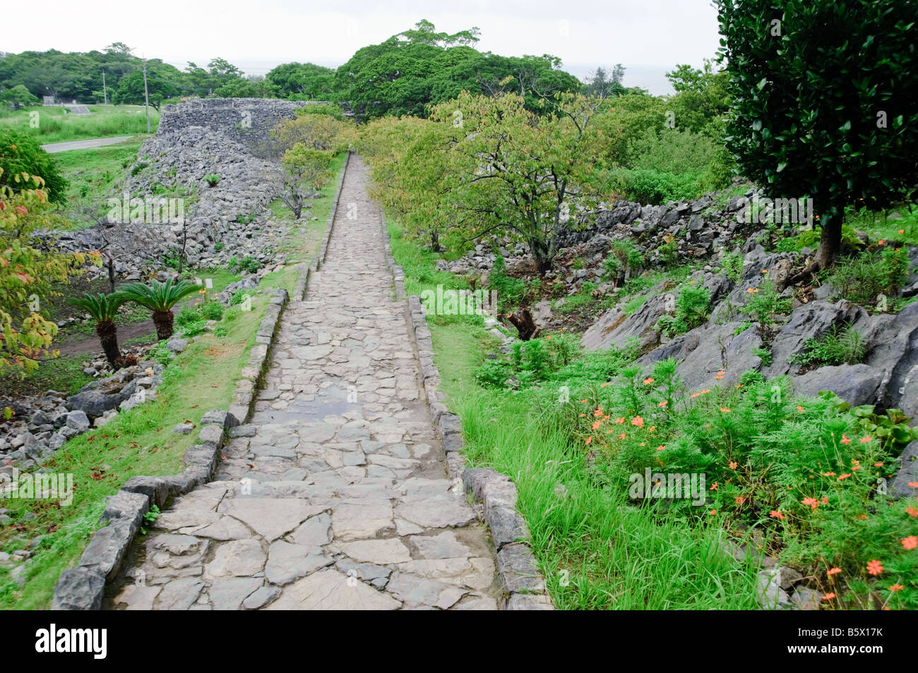 Kunigami district hi-res stock photography and images - Alamy