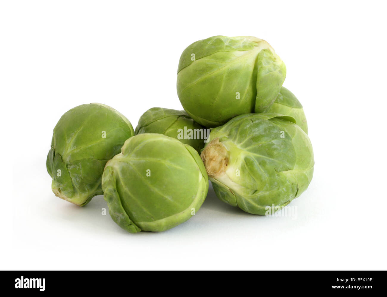 Sprouts closeup Cut Out Stock Images & Pictures - Alamy
