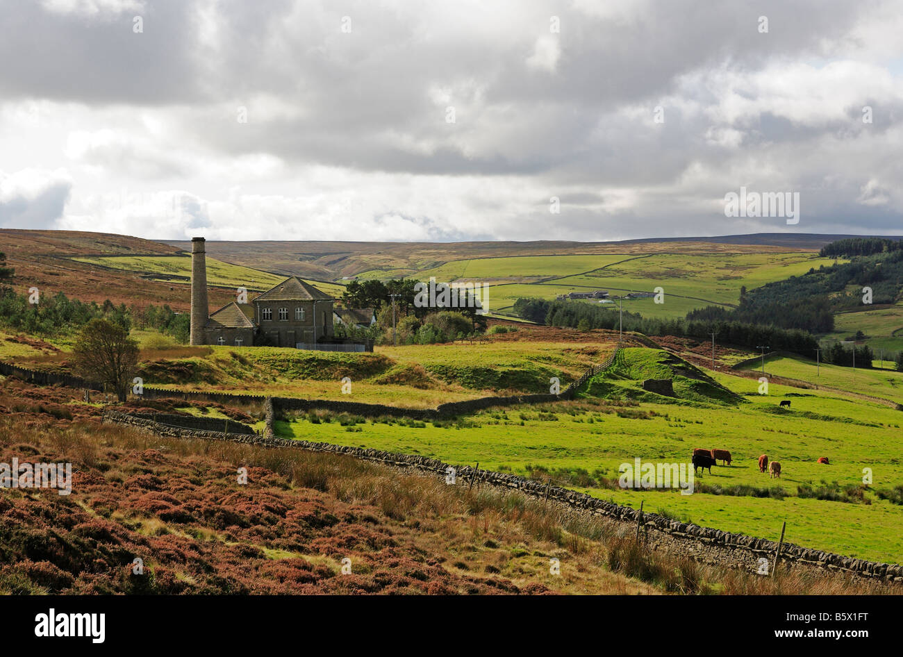 Durham mine hi-res stock photography and images - Alamy
