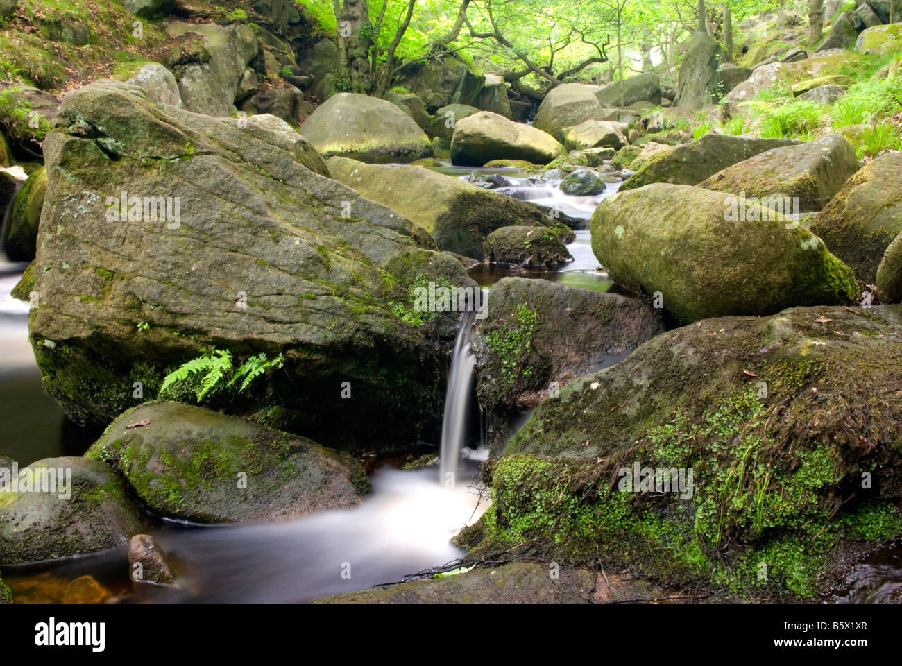 Padley Gorge in the Peak District National Park, Derbyshire, England ...