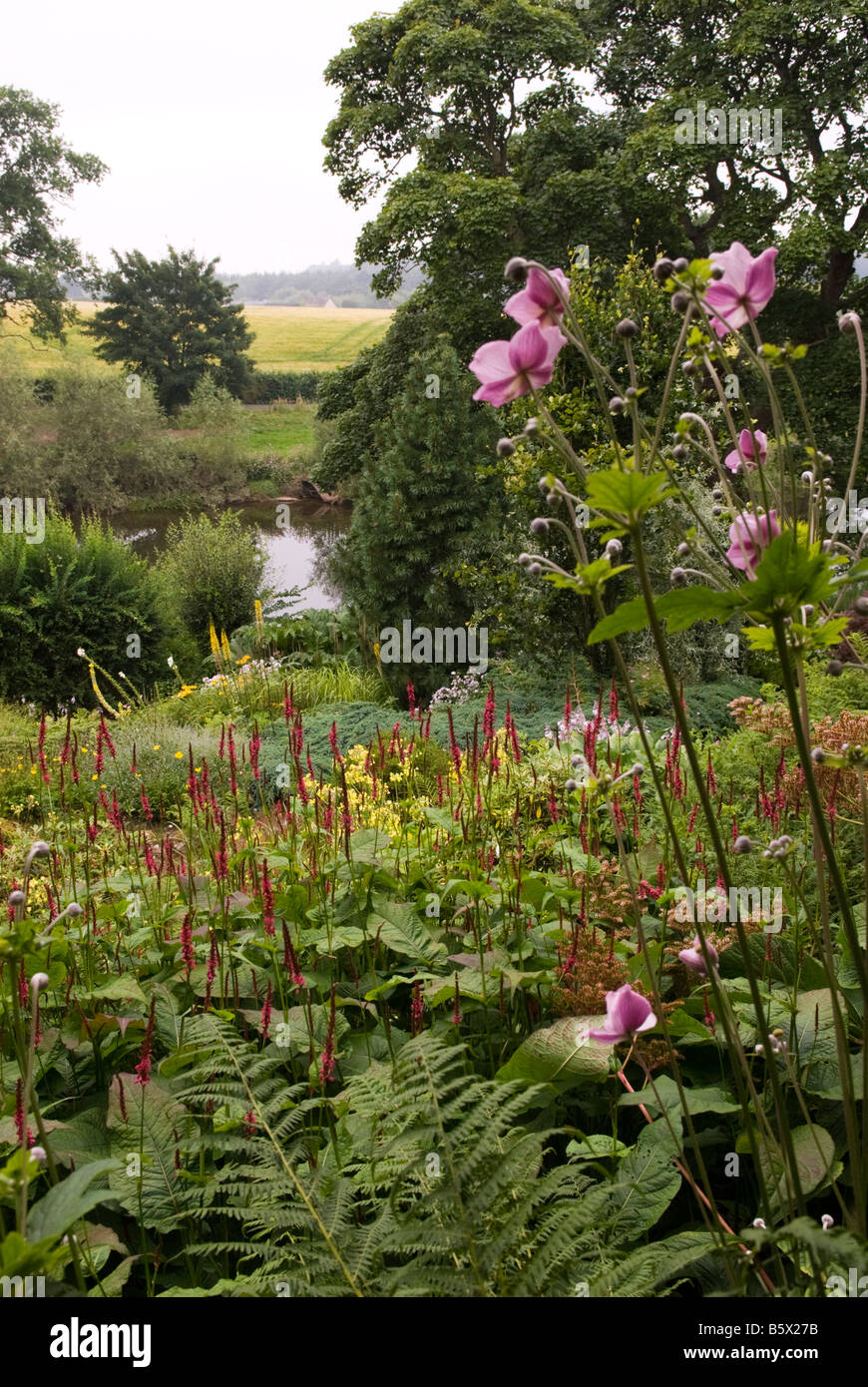 Teviot hi-res stock photography and images - Alamy