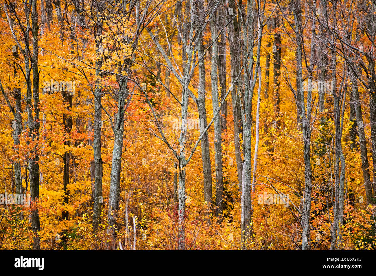 Land use contrast hi-res stock photography and images - Alamy