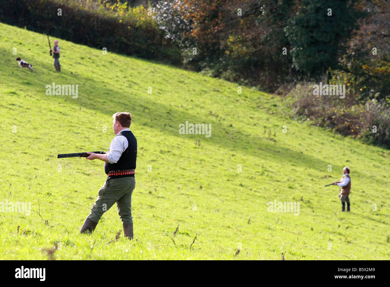 Three pheasant hunters form a line of guns during an organised driven ...
