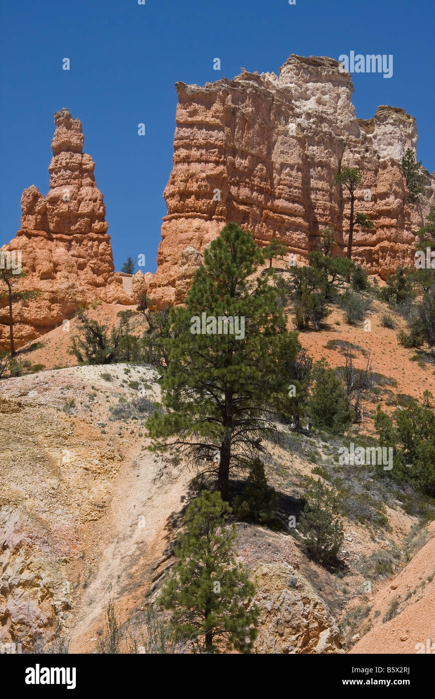 Interesting orange and cream rock formations with green trees set ...