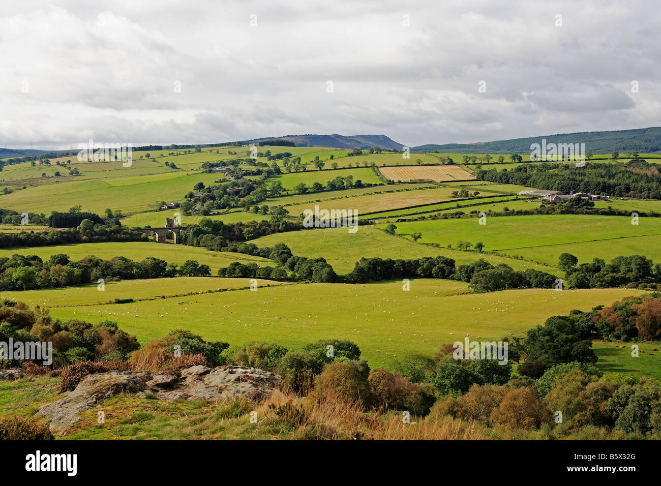 1270 Cheviot Hills Northumberland UK Stock Photo - Alamy