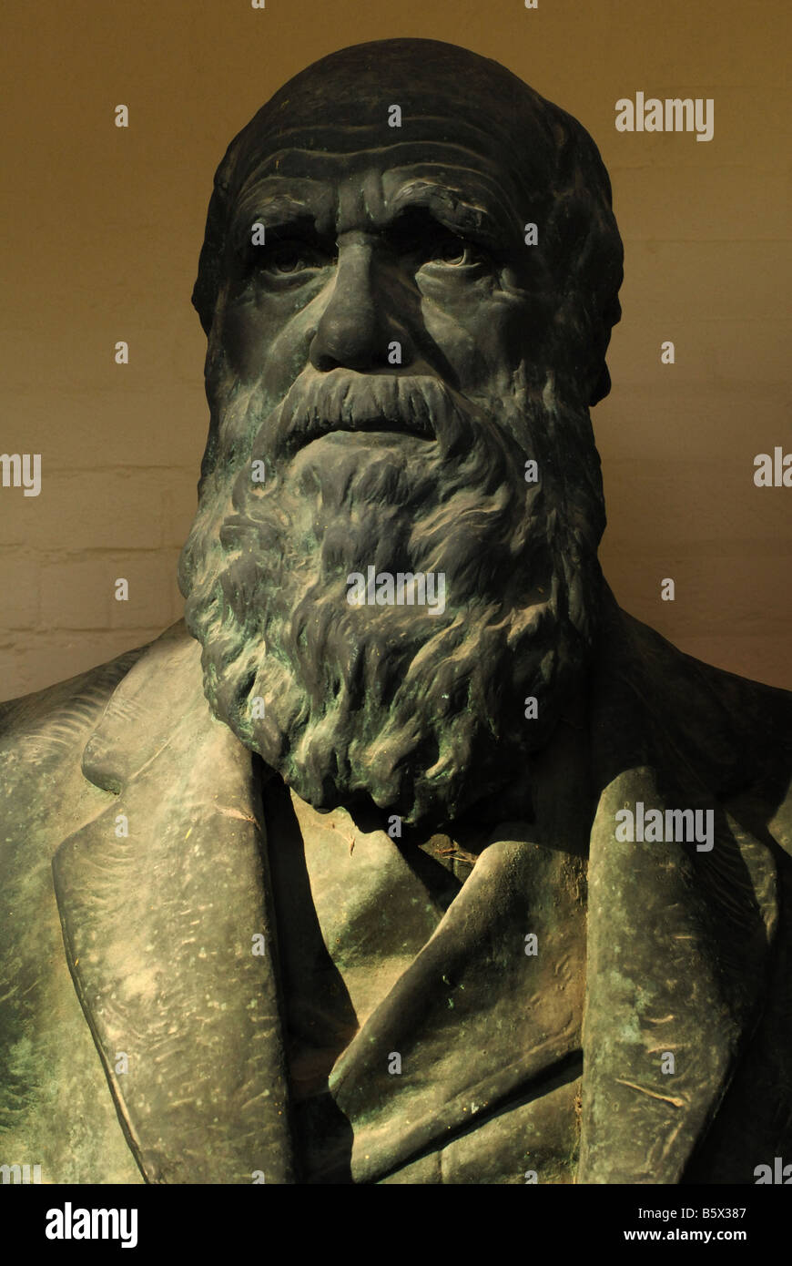 William Darwin High Resolution Stock Photography and Images - Alamy