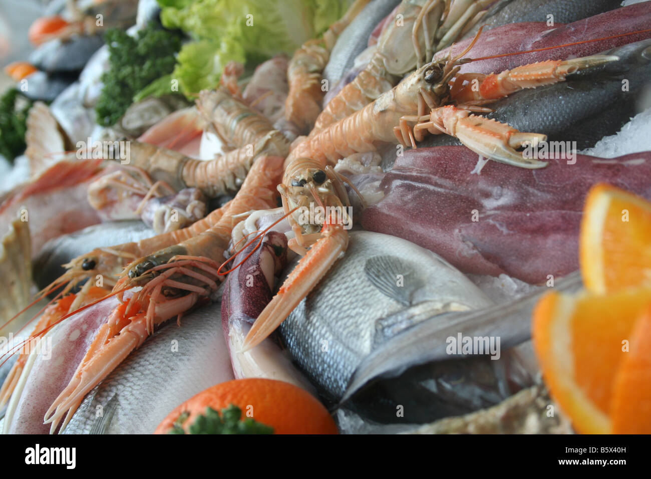 Beautiful seafood on the ice Stock Photo - Alamy