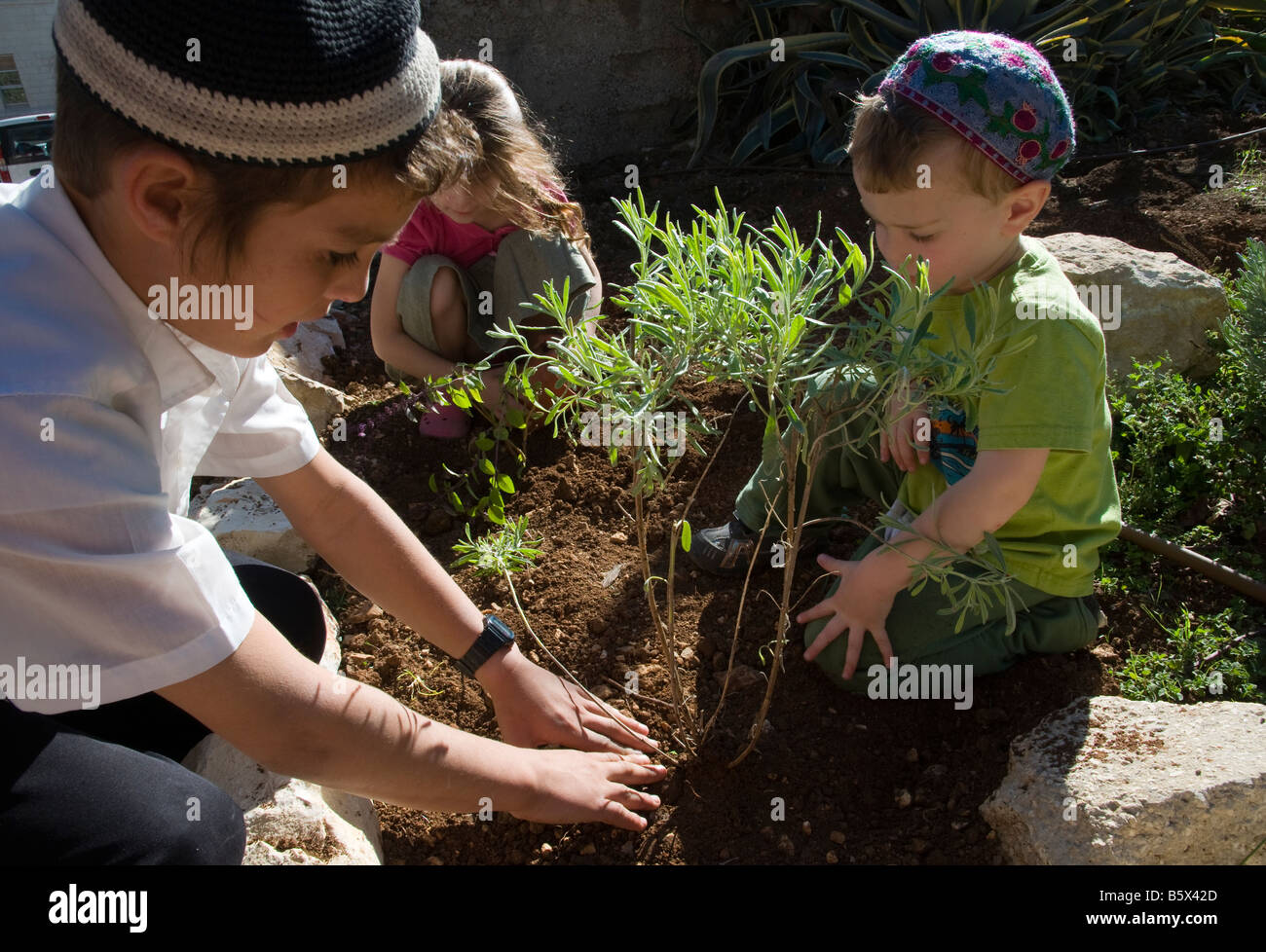 Israel Jerusalem youg jewish children planting plants in a garden Stock ...