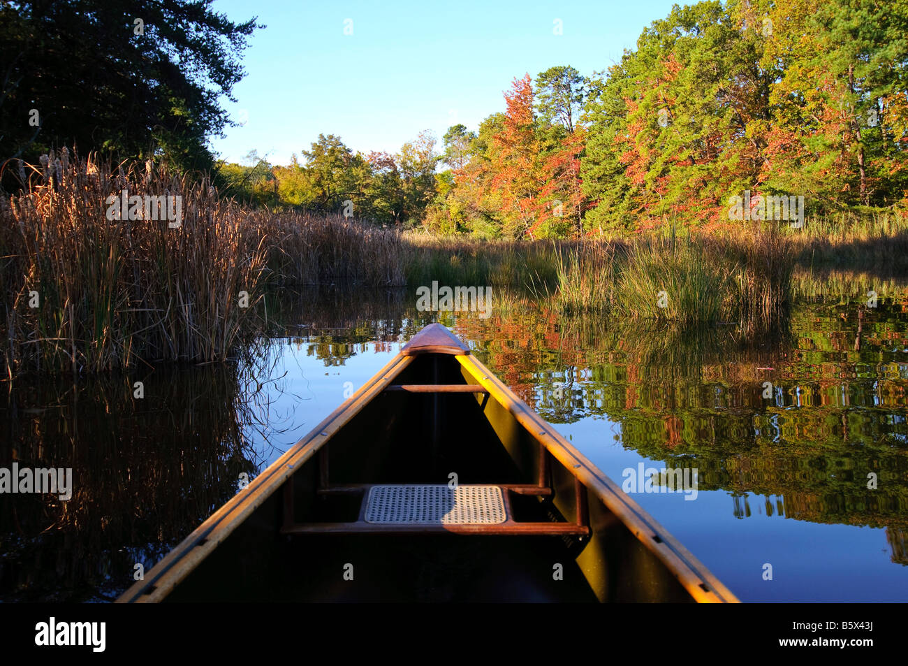 Canoeing cypress trees hi-res stock photography and images - Alamy