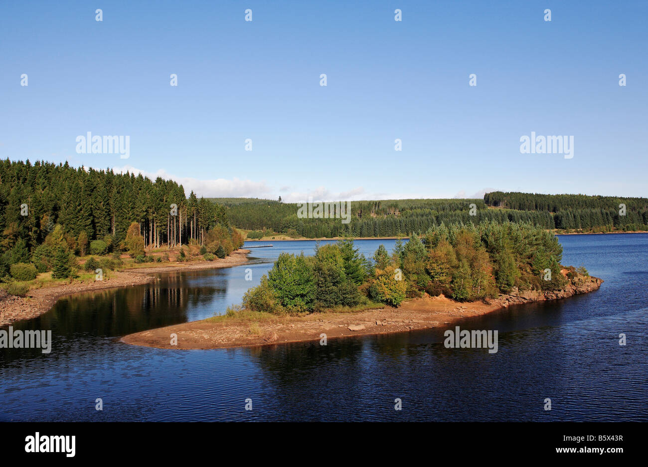 1291 Kielder Water Kielder Forest Northumberland UK Stock Photo - Alamy