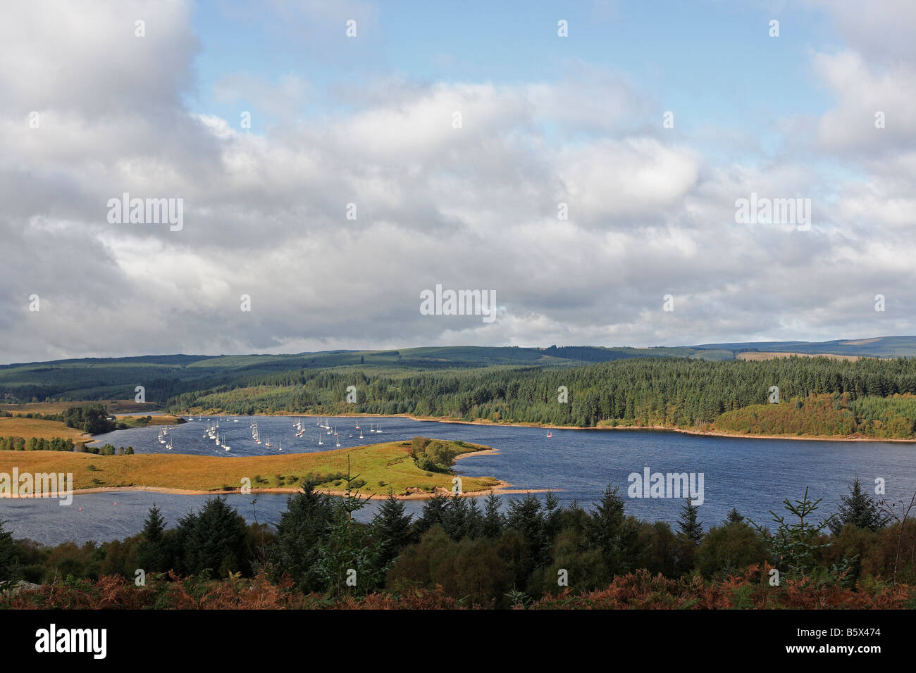 1286 Kielder Water Kielder Forest Northumberland UK Stock Photo - Alamy