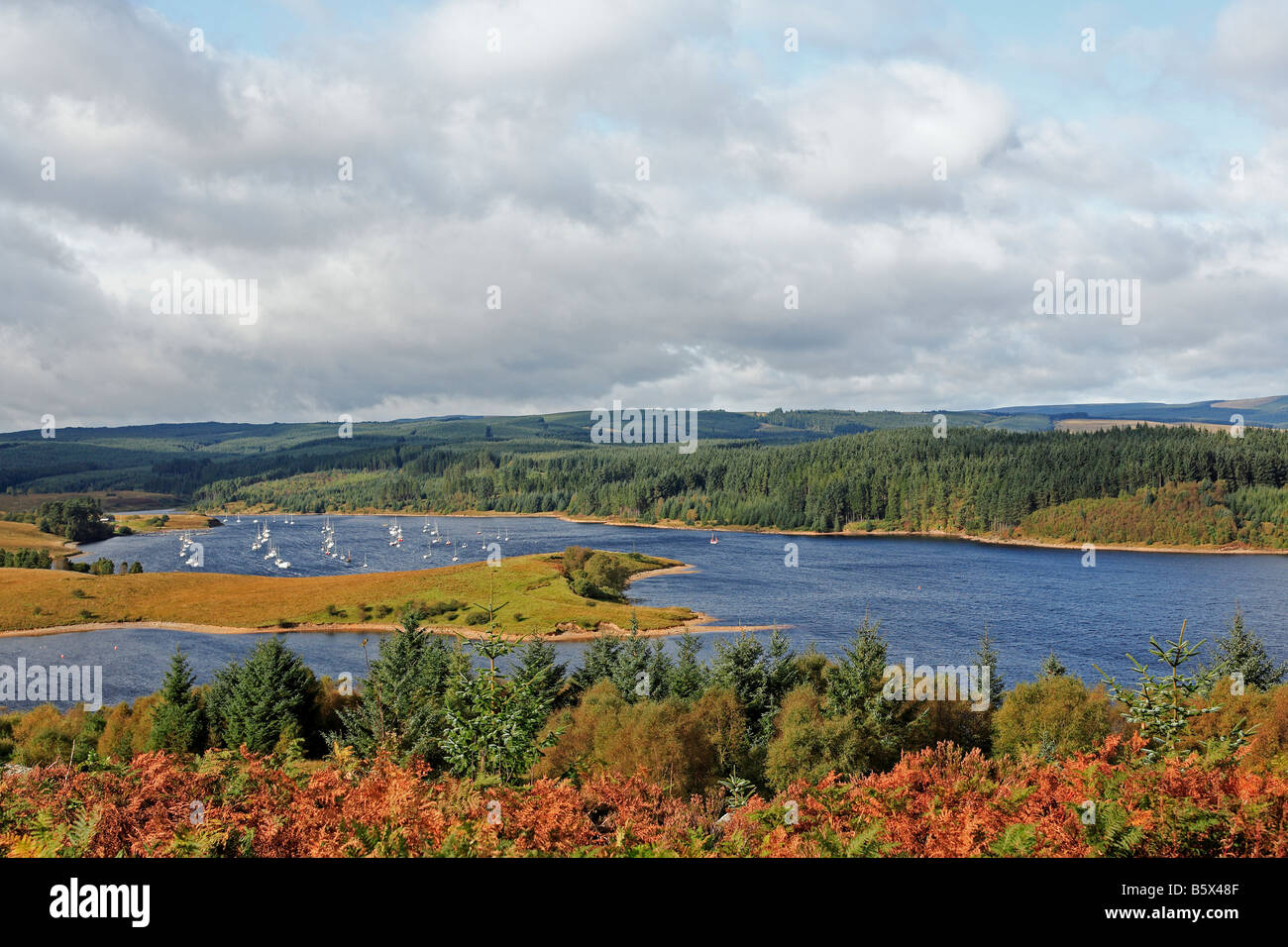 Kielder hi-res stock photography and images - Alamy