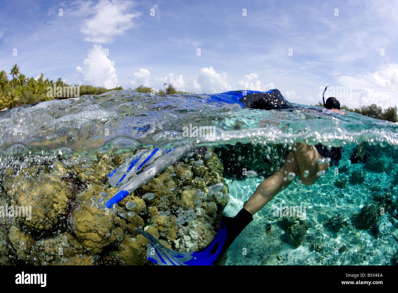 Swimming against the Current Stock Photo - Alamy