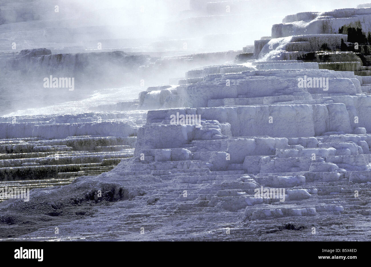 Yellowstone national park - Minerva Spring Terraces Stock Photo - Alamy