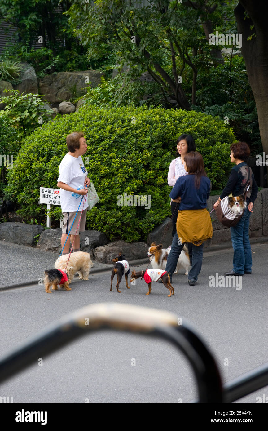 Japanese walkers hi-res stock photography and images - Alamy