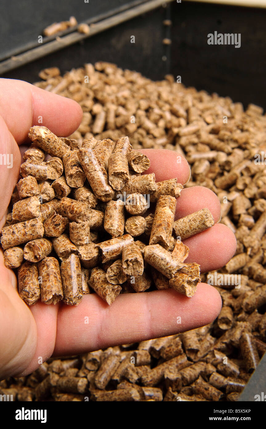 Pellet stove hi-res stock photography and images - Alamy