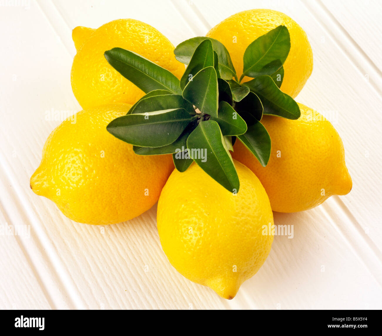 FIVE LEMONS WITH LEAVES Stock Photo - Alamy