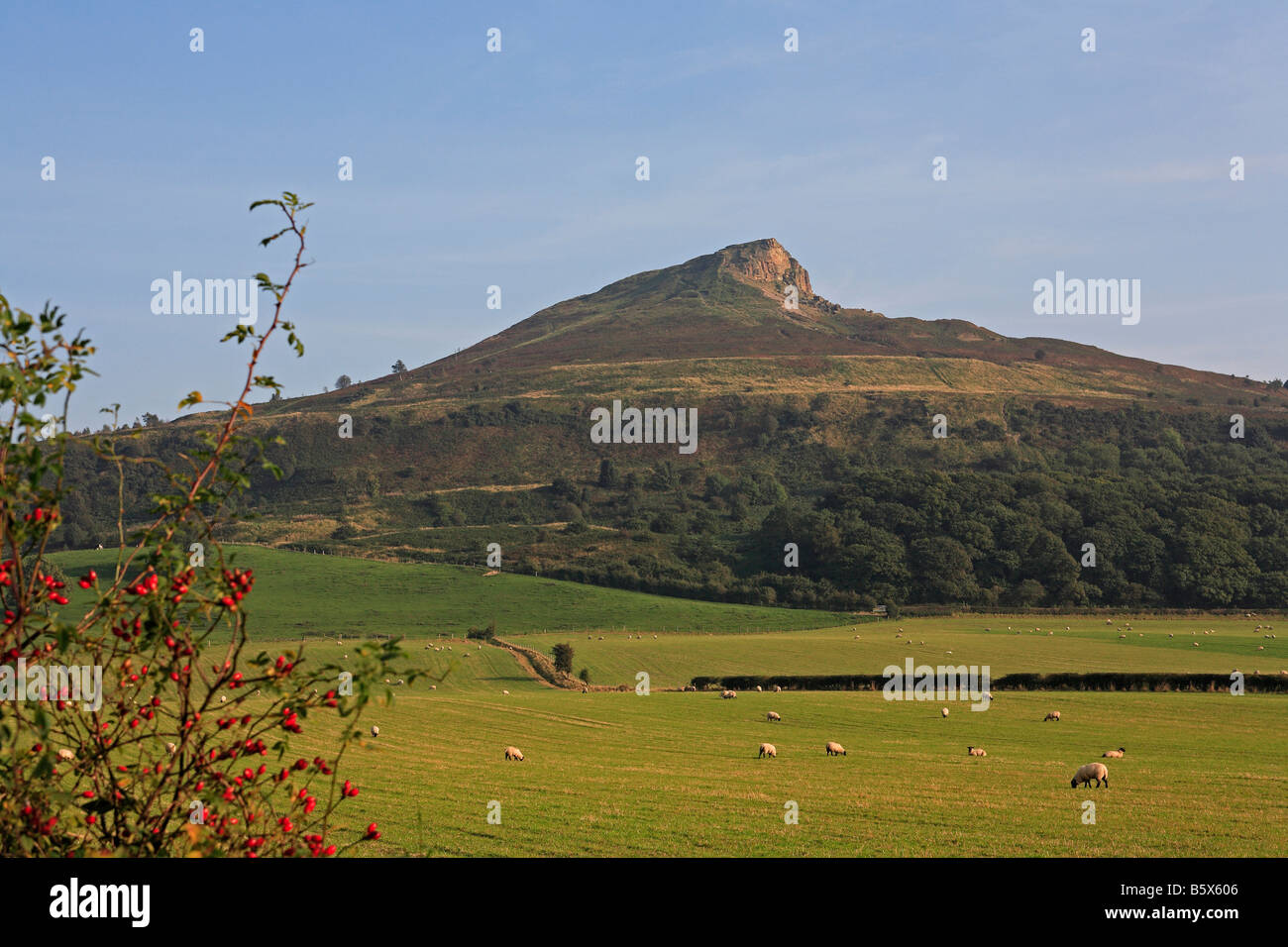 1328 Rosebury Topping Cleveland Hills North Yorkshire Yorkshire UK ...