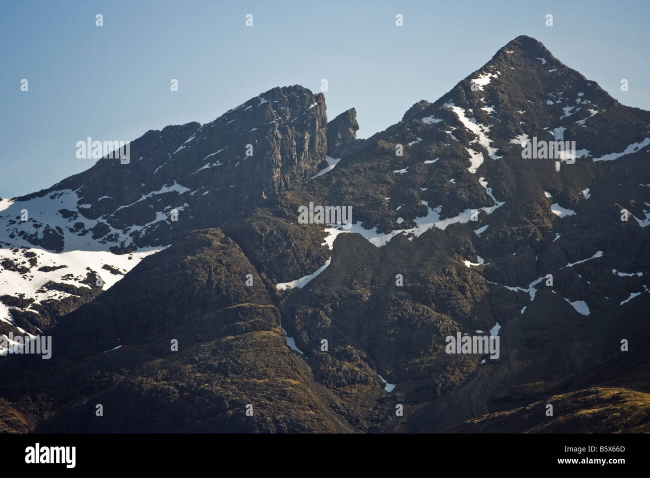 Basteir tooth hi-res stock photography and images - Alamy