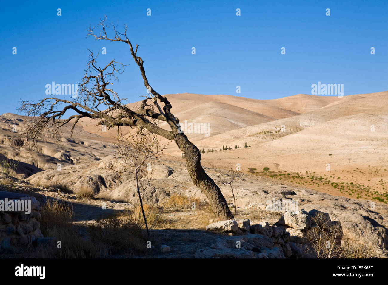 Rif dimashq hi-res stock photography and images - Alamy