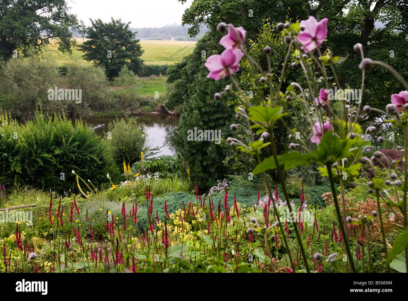 Teviot hi-res stock photography and images - Alamy