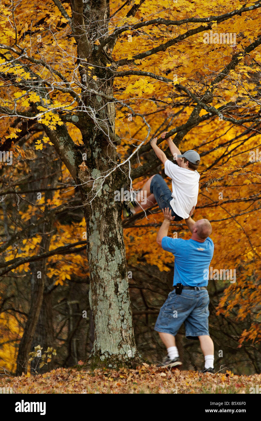 Father Helping his Son Climb a Autumn Maple Tree in Bernheim Arboretum ...